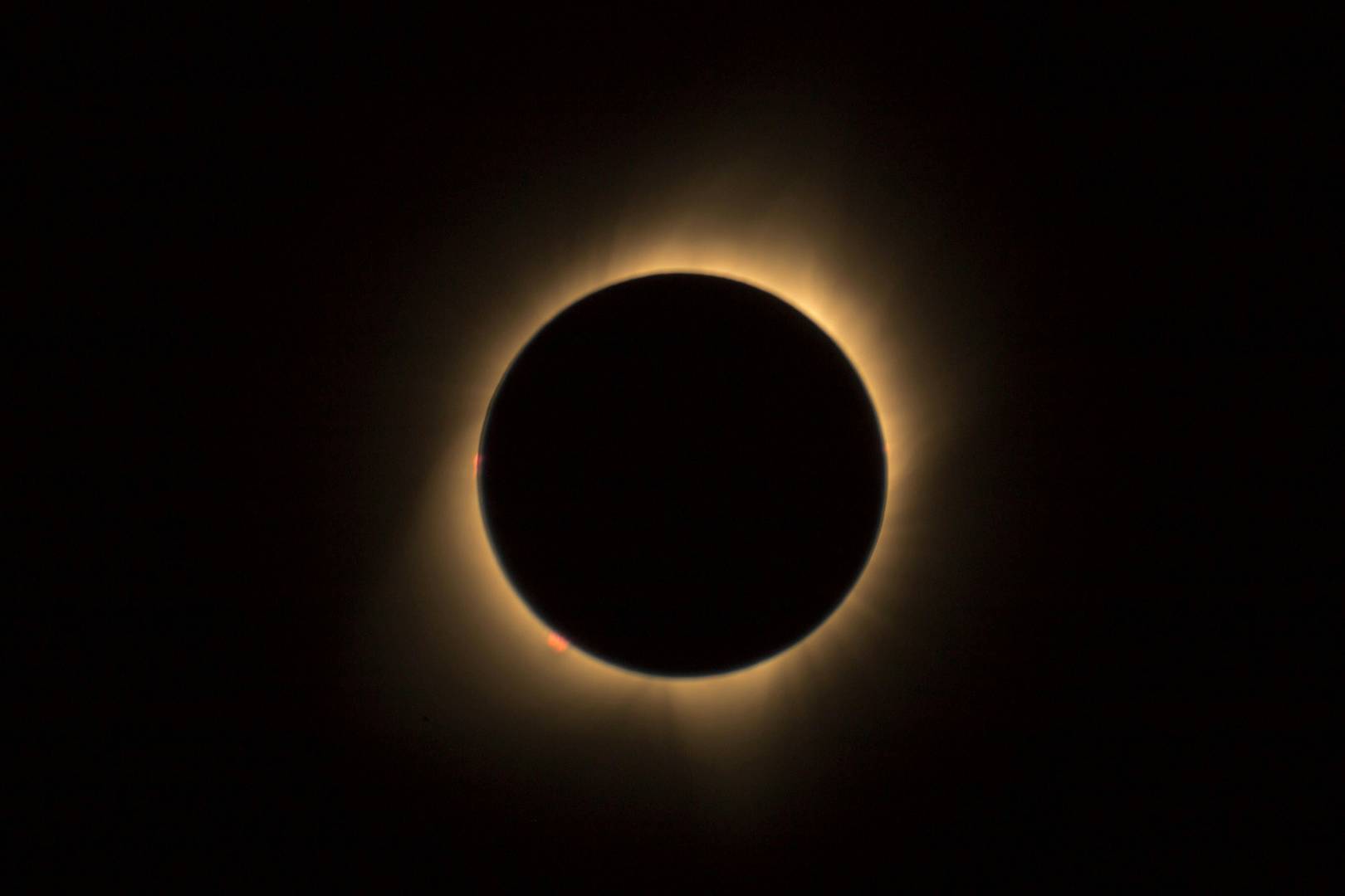 The Solar Eclipse and-Healthcare-Risks :: microscope
